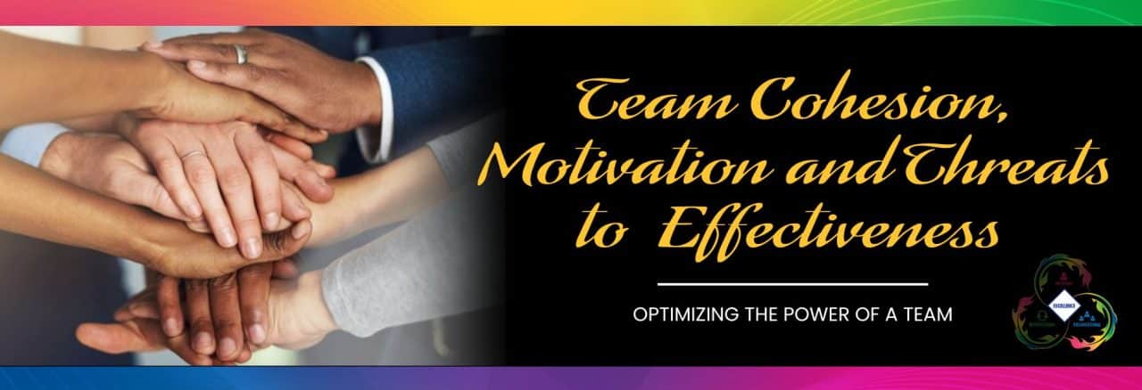 Team Cohesion and Motivation for Integrated Excellence